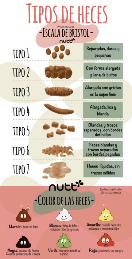 La forma y el color de tus heces te darán una pista importante sobre tu ...